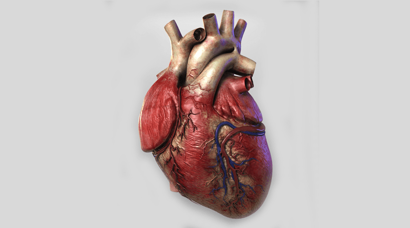 Surgery or Just Medications and Lifestyle Changes to Reduce Heart ...